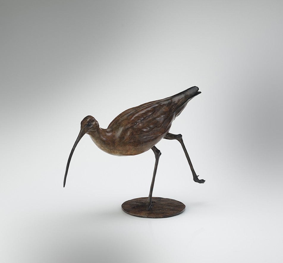 Curlew | Rowles Gallery